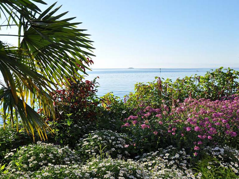 Insel Mainau | garten.ch